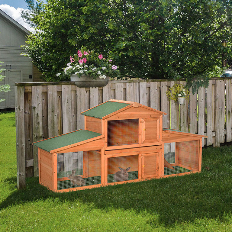Guinea Pig Cages | Guinea Pig Cage