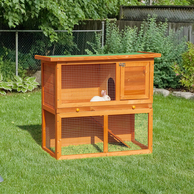 Guinea Pig Cages | Guinea Pig Cage